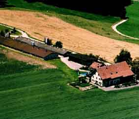 Unterer Berghof Mellikon - Daniel und Denise Spuhler